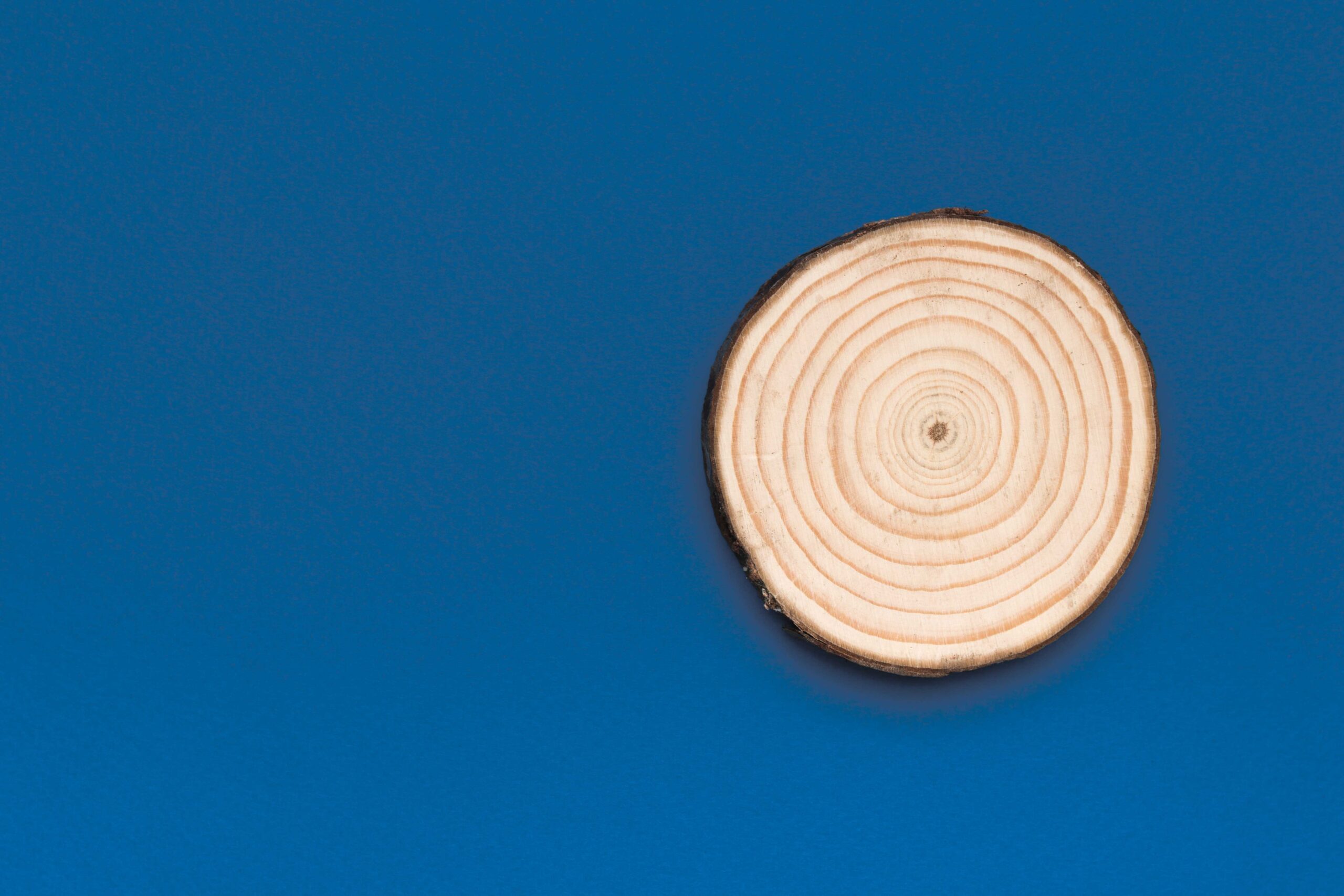 NordFuel hakee kumppania ligniinin kaupallistamiseen - NordFuel